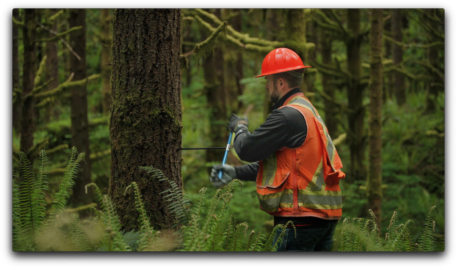 Resources - Washington's Working Forests