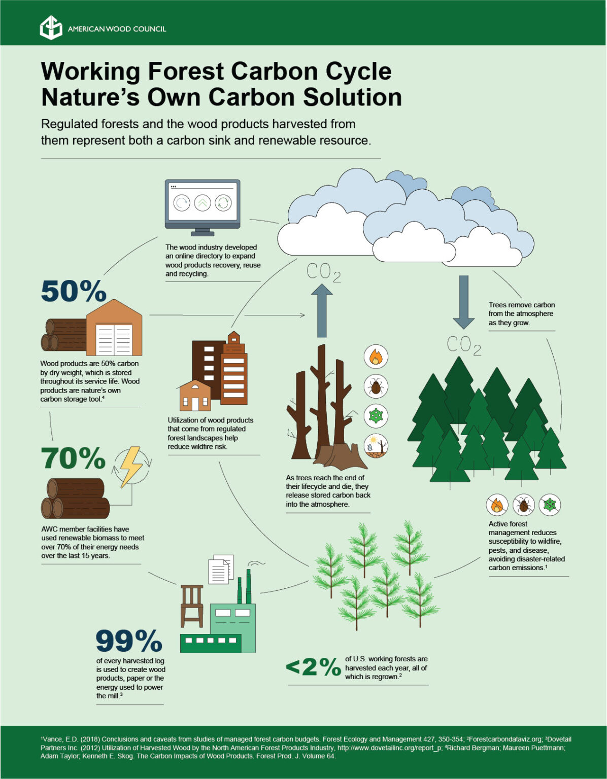 The Carbon Cycle in Managed Forests - Washington's Working Forests